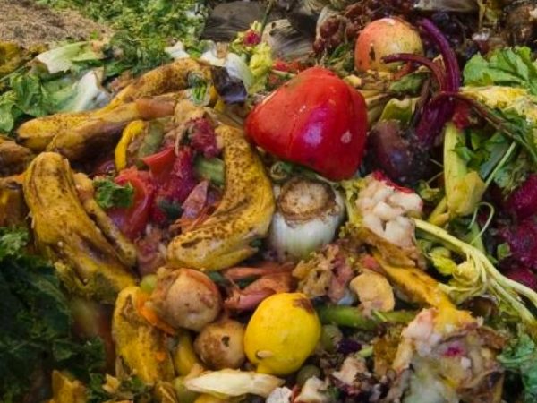 Sākums - JADIS - Atkritumu eksperts